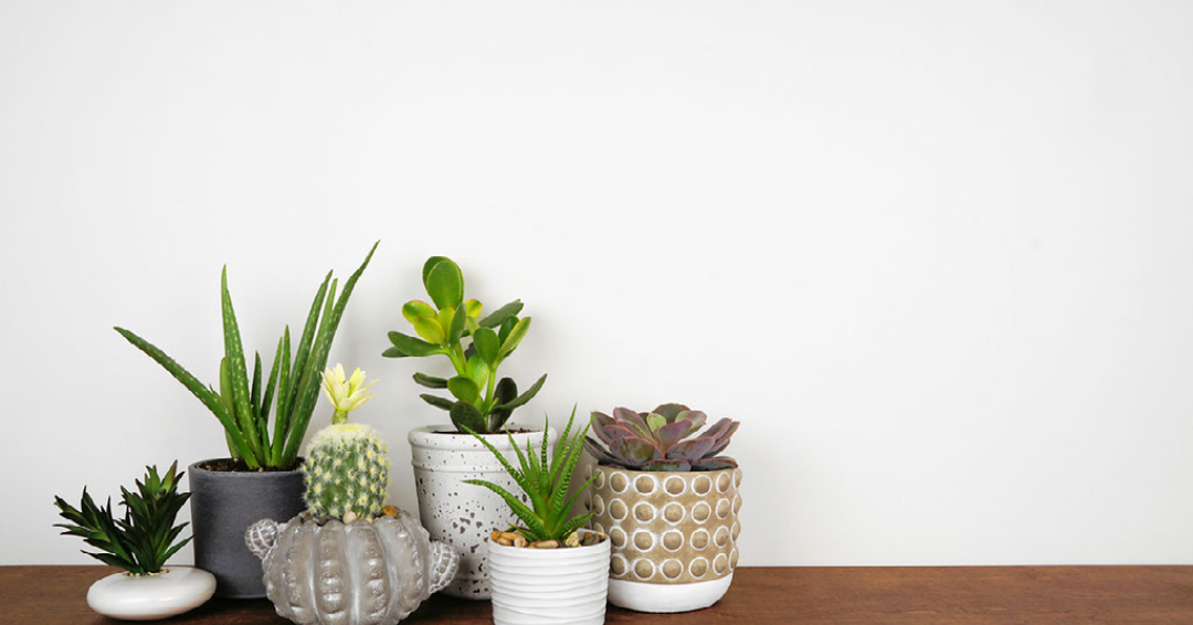 Web Design - Mark Strano Designs